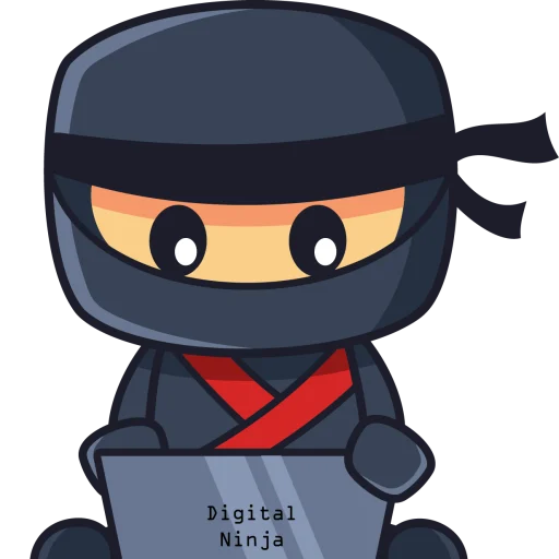 Digital Ninja - Web Design & Marketing